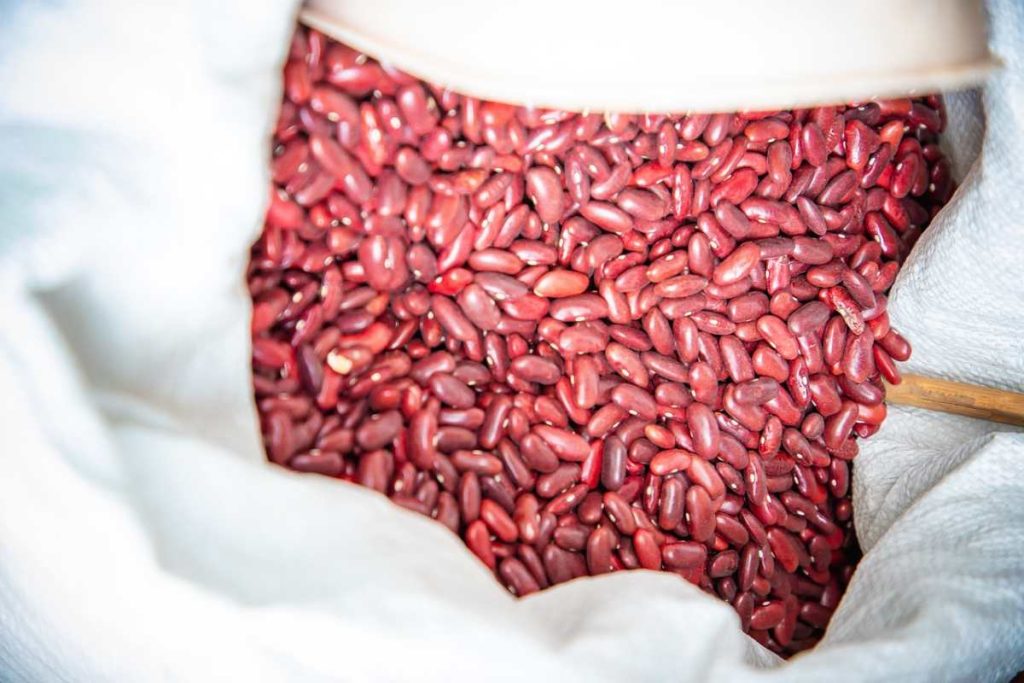 Nutrition et bienfaits des haricots rouges, Haricots rouges vs ...